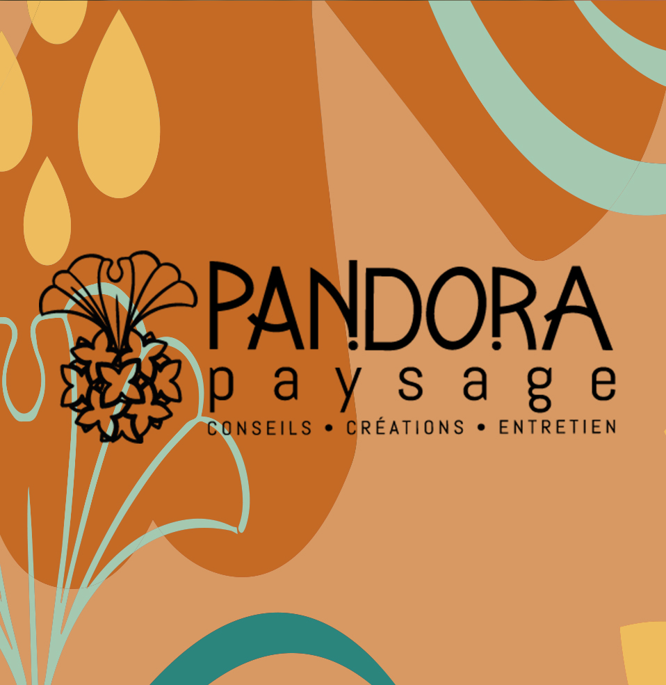 Pandora paysages - Elle O Graphic